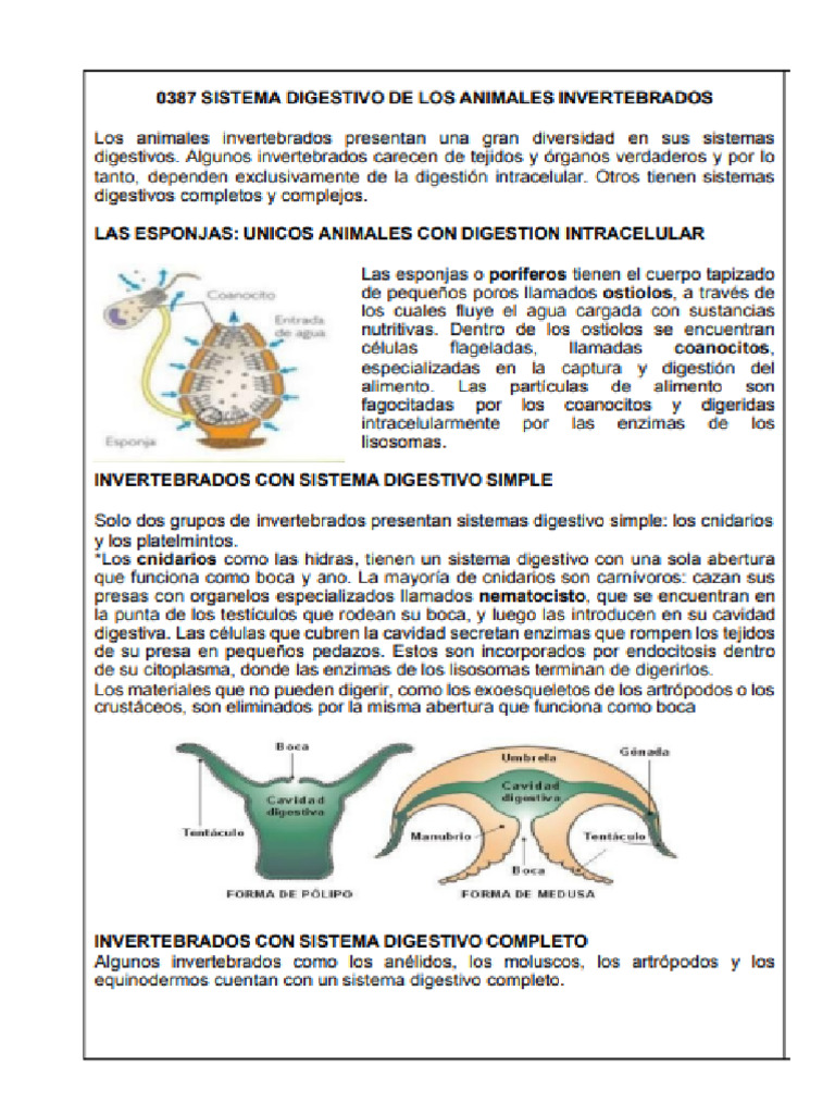 Biologia Imp | PDF
