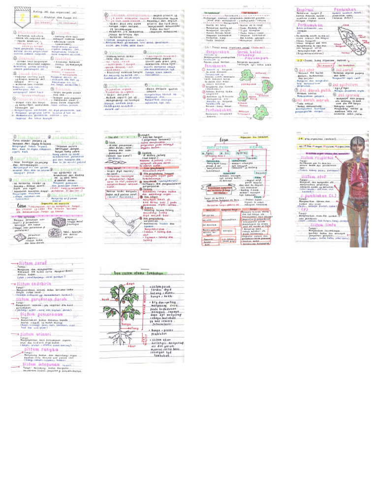 Bio Bab 2 | PDF