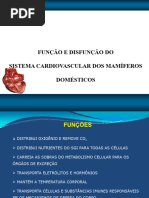 Circulação Colateral: Mecanismos, Importância Clínica e Implicações No ...