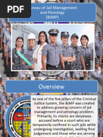 Jail Rank Insignia Guide | PDF | Science & Mathematics