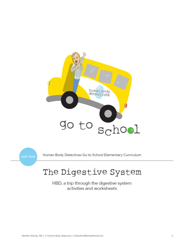 Digestive System Adventures Explained | PDF | Human Digestive System ...