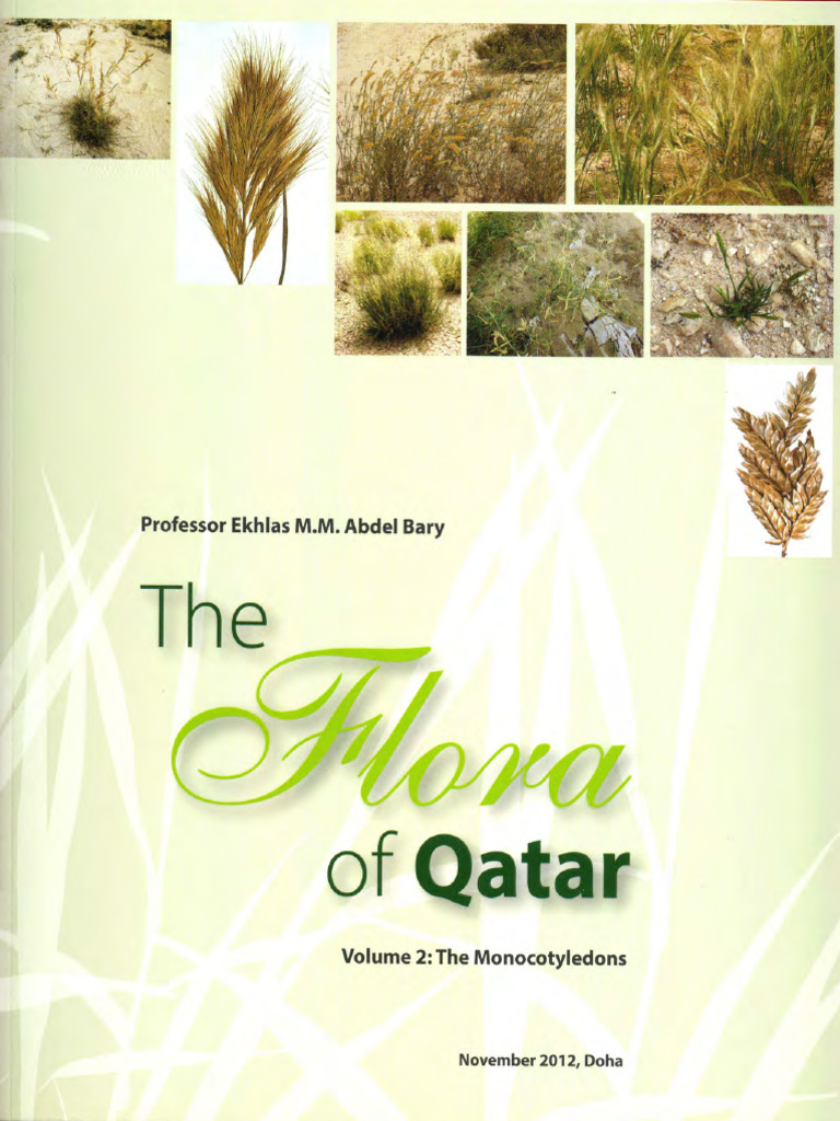 The Flora of Qatar Monocotyledons | PDF | Mangrove | Plants
