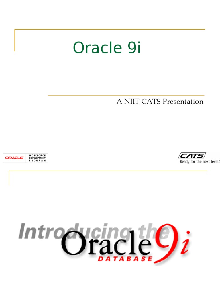 Sales Presentation - Oracle | PDF | Oracle Corporation | Expert
