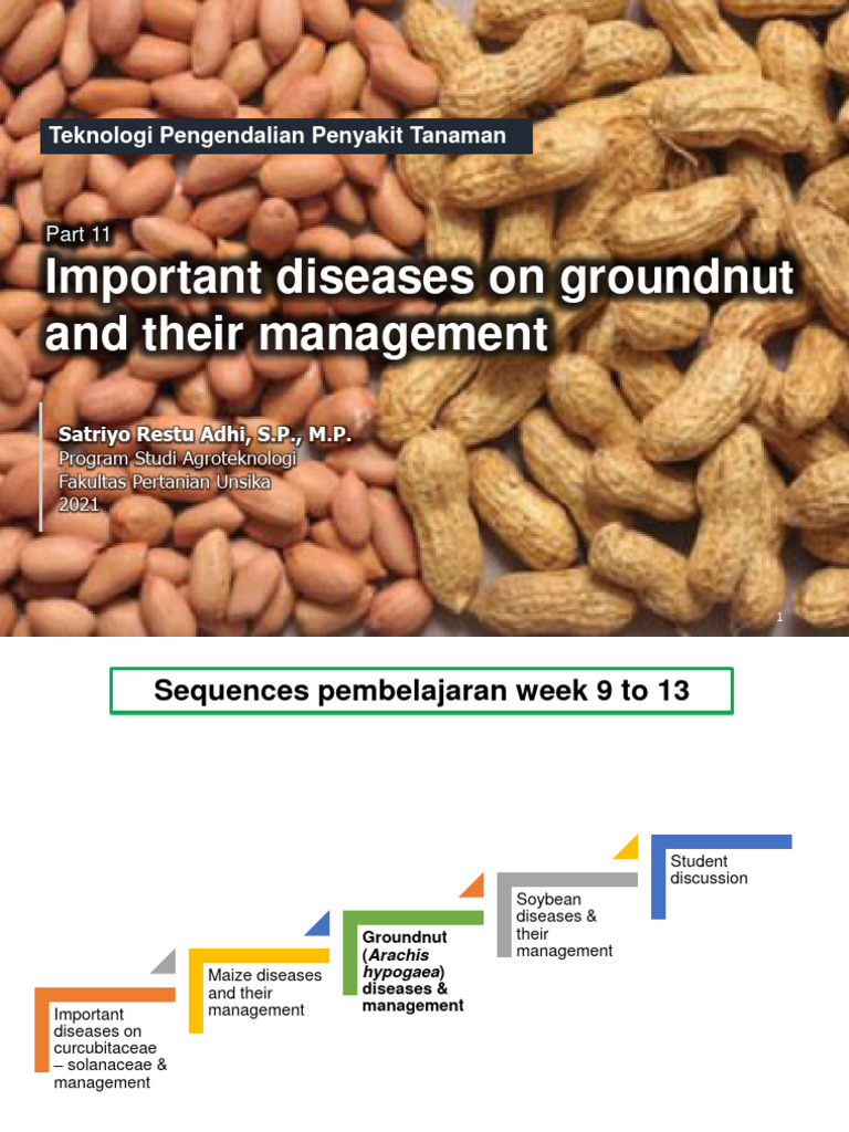 Groundnut Diseases and Management Strategies | PDF | Botany | Branches ...