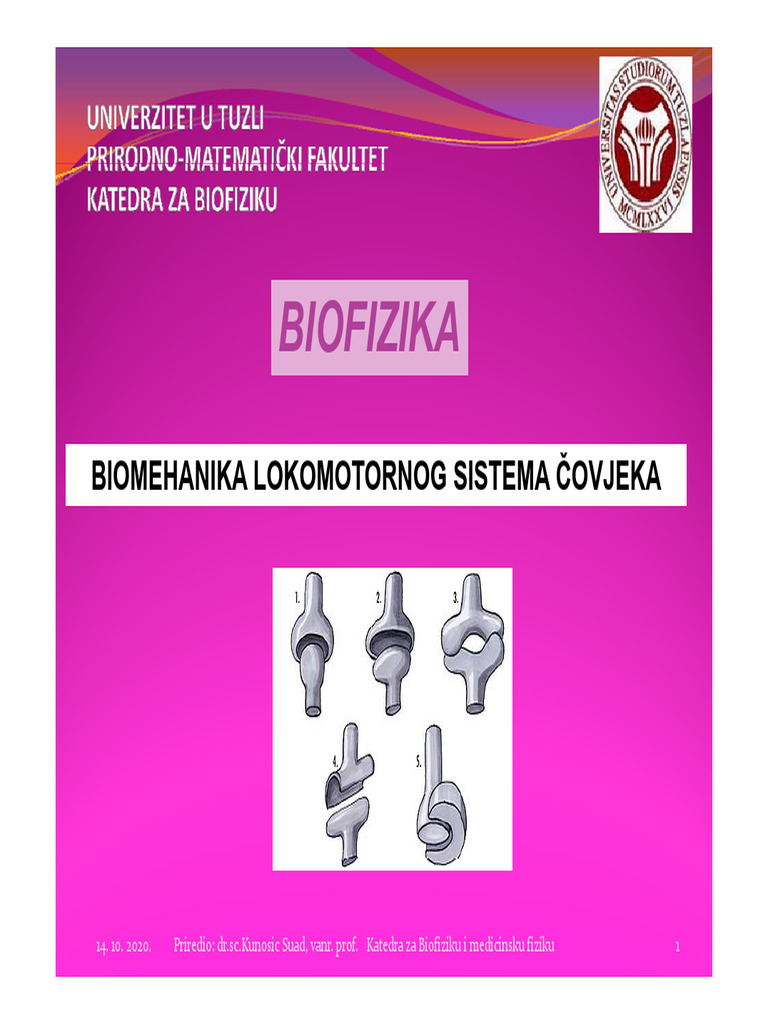 biofizika-med-biomehanika-lokomotornog-sistema | PDF