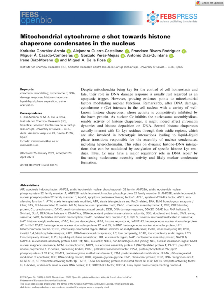 Mitoch Ondrial Cytochr Ome | PDF | Histone | Chromatin
