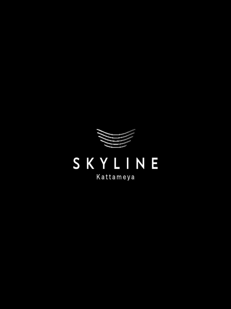 Skyline | PDF