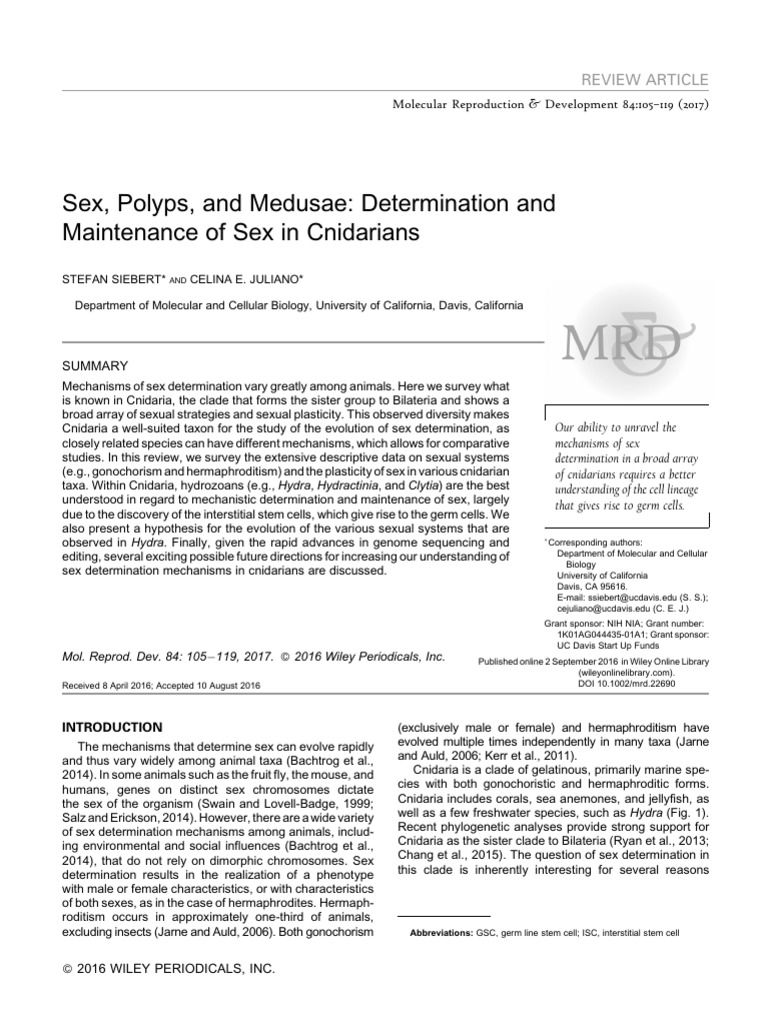 Sex Polyps And Medusae Determination And Maintenance Of Sex In Cnidarians Siebert Pdf