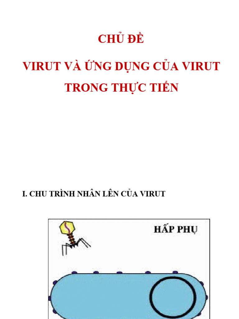 Bai 31 Virut Gay Benh Ung Dung Cua Virut Trong Thuc Tien | PDF