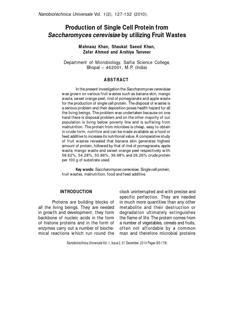 Production of Single Cell Protein From Saccharomyc | PDF | Foods | Fungus