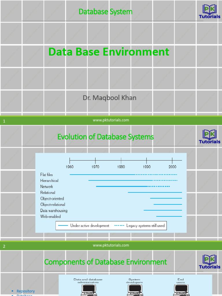 02-Database Environment | PDF | Databases | Data Model