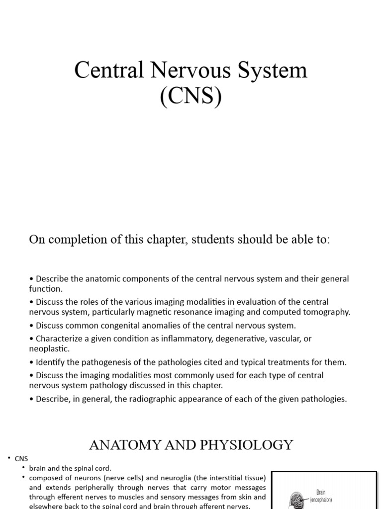 Central Nervous System Overview and Imaging | PDF | Stroke | Meningitis