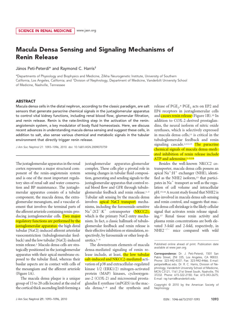 Macula Densa 1093.full | PDF | Angiotensin | Kidney