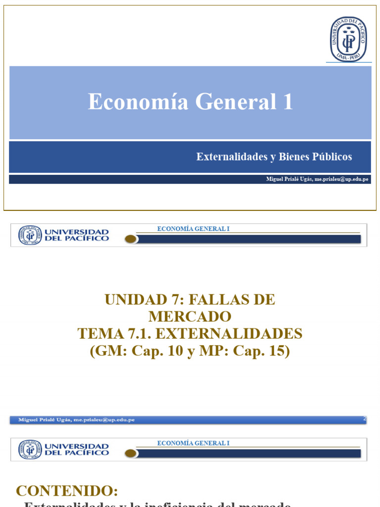 Externalidades y Bienes Públicos | PDF | Exterioridad | Mercado (economía)