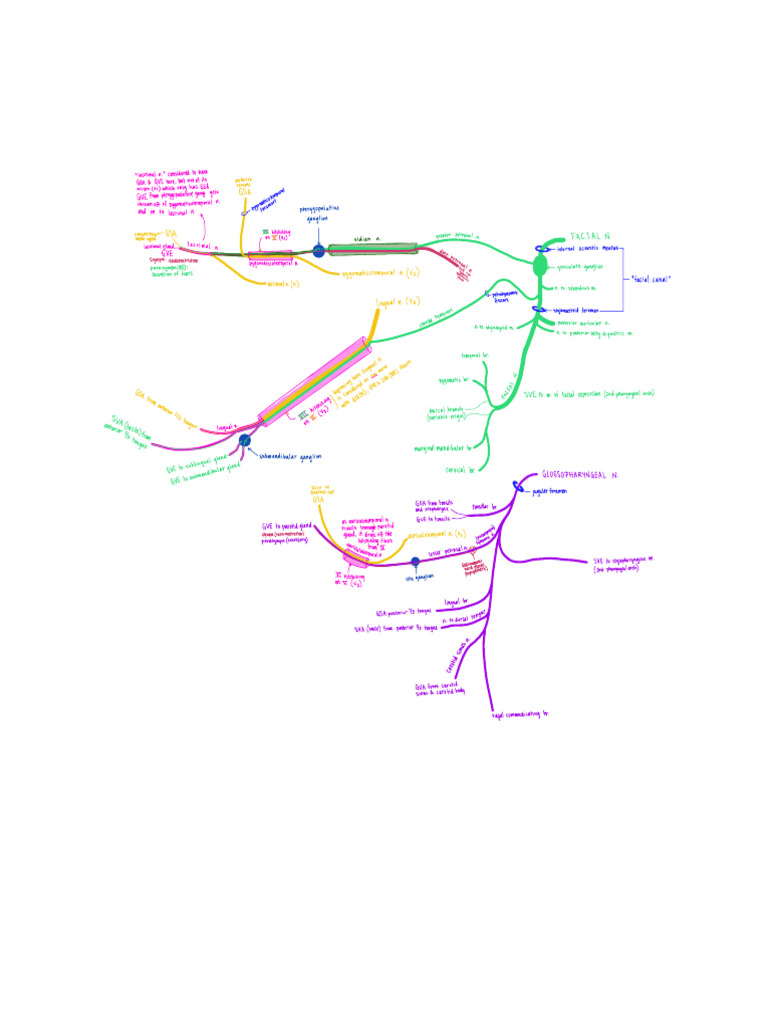 Cranial Nerve Full | PDF | Morphology (Biology) | Anatomy Cranial Nerve Full | PDF | Morphology (Biology) | Anatomy
