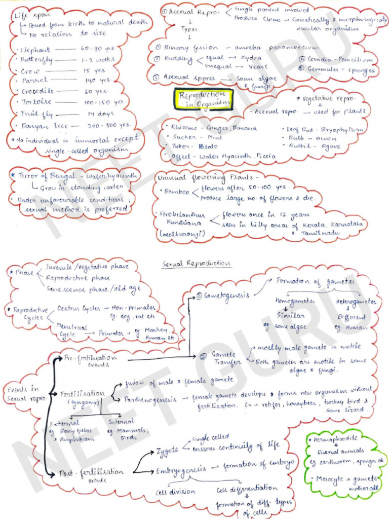 Chap 1 Reproduction in Organisms Mind Map | PDF | Plants ...