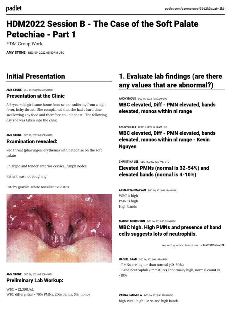 Palate | PDF | White Blood Cell | Immunology
