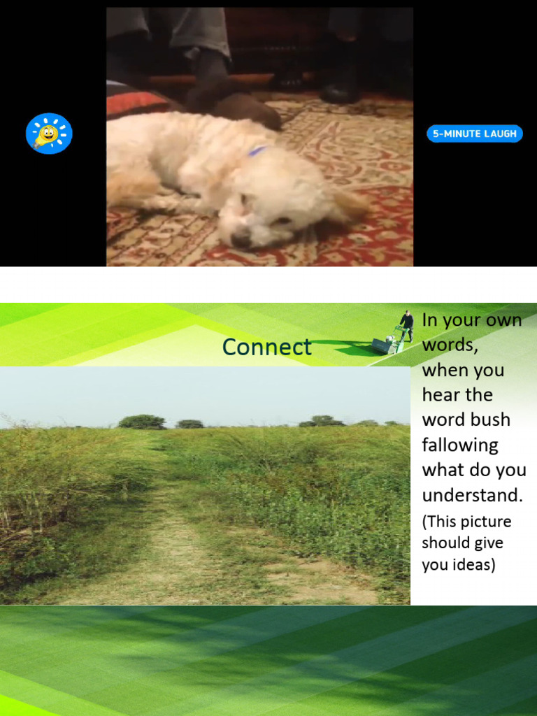 Bush Fallowing and Cover Croping | PDF | Crop Rotation | Soil