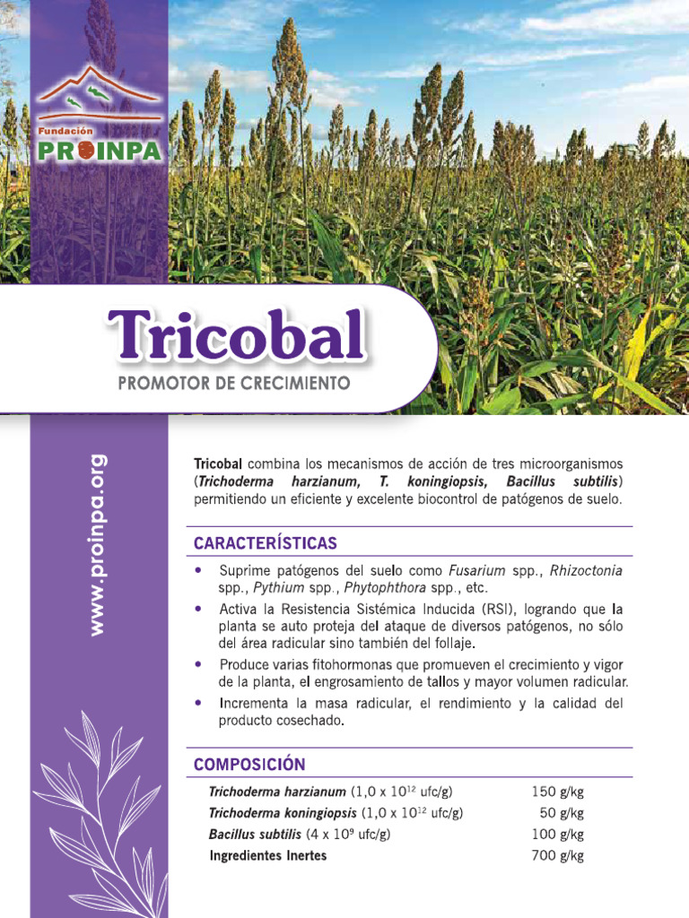 Mip Ppa Tricobal Ext | PDF