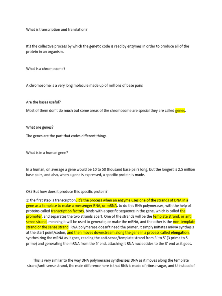 Transcription and Translation Explained | PDF | Gene | Rna