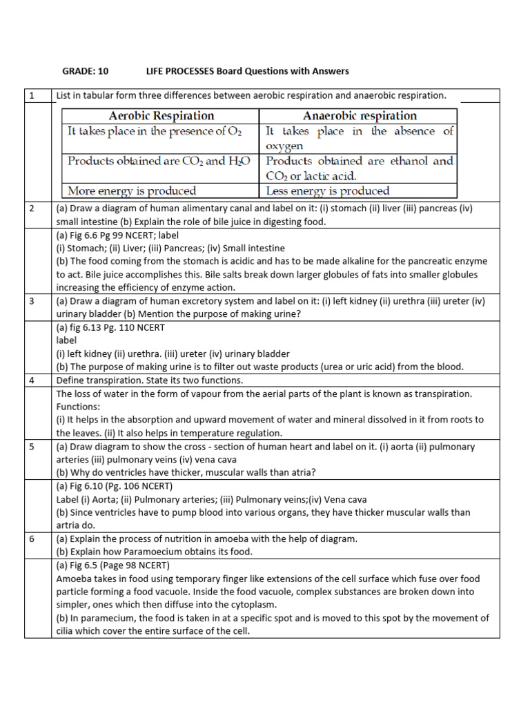 Life Process Complete Board Questions and Answers | PDF | Digestion ...