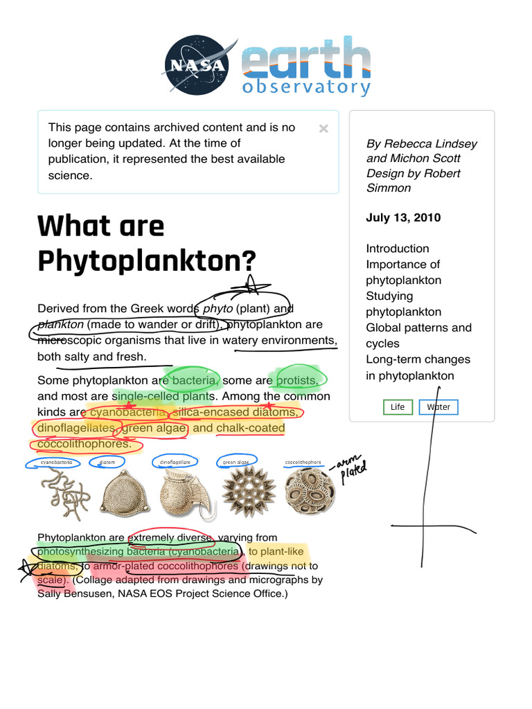 What Are Phytoplankton? | PDF | Phytoplankton | Carbon Cycle