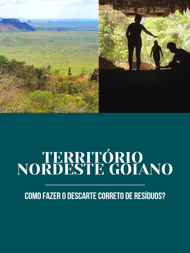 Descarte Correto de Resíduos no Nordeste | PDF | Desperdício | Reciclagem