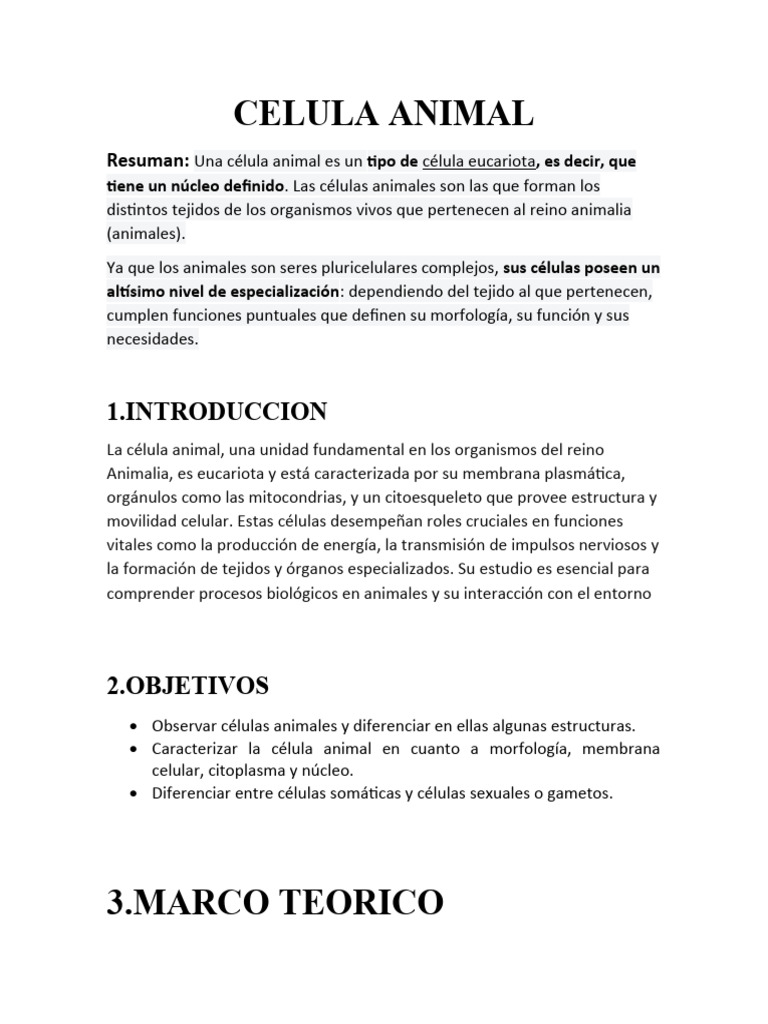 Características de la Célula Animal | PDF | Biología Celular) | Citoplasma