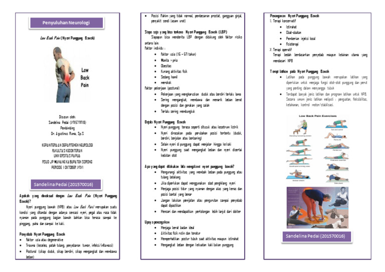 Low Back Pain Penyuluhan Pdf
