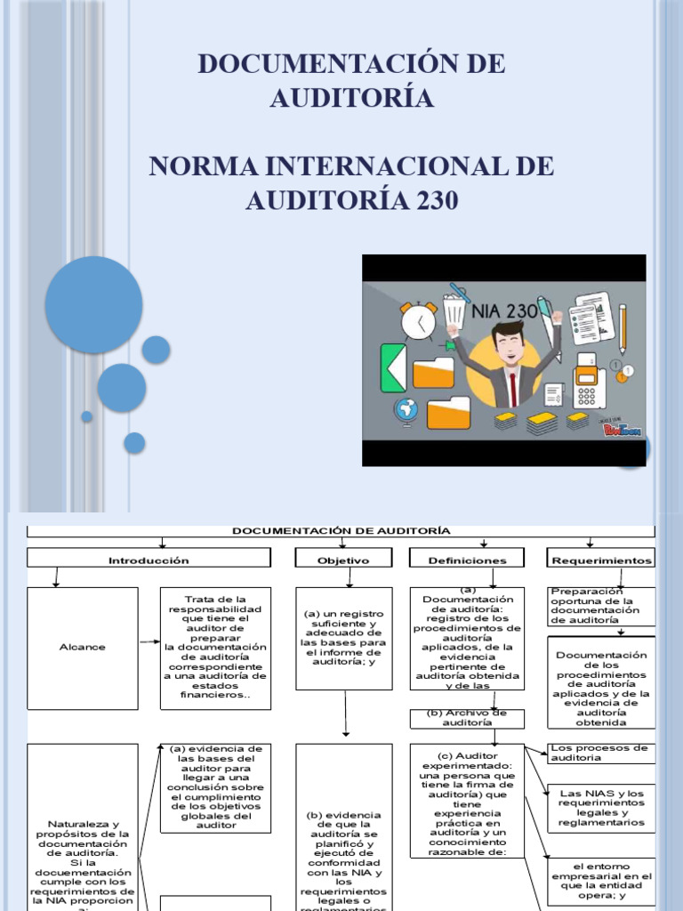 NIA 230 Documentación de Auditoría | PDF | Auditoría | Contralor