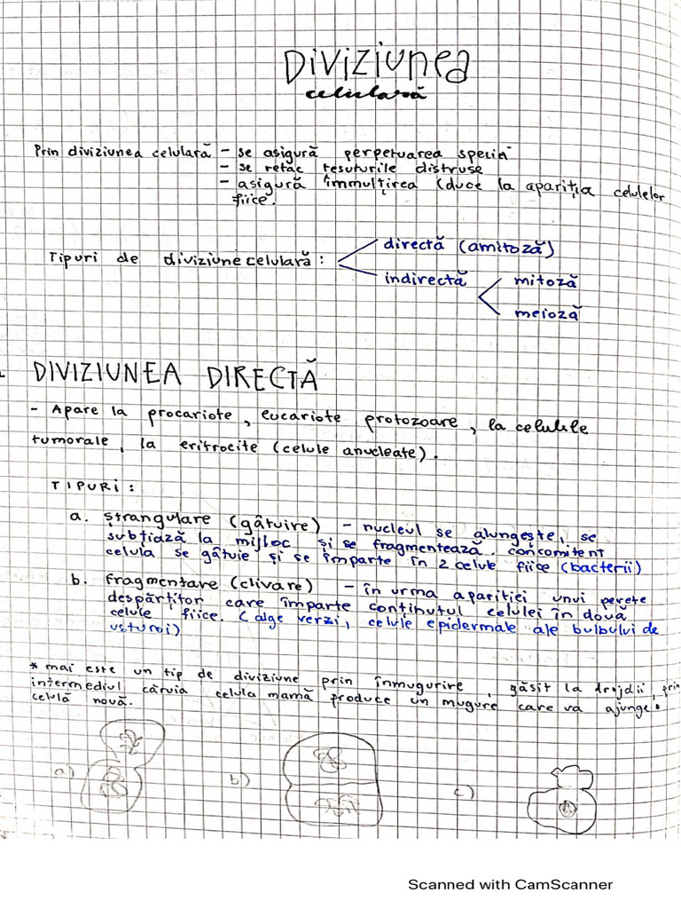 Diviziunea Celulară (Olimpiada de Biologie 2019) | PDF