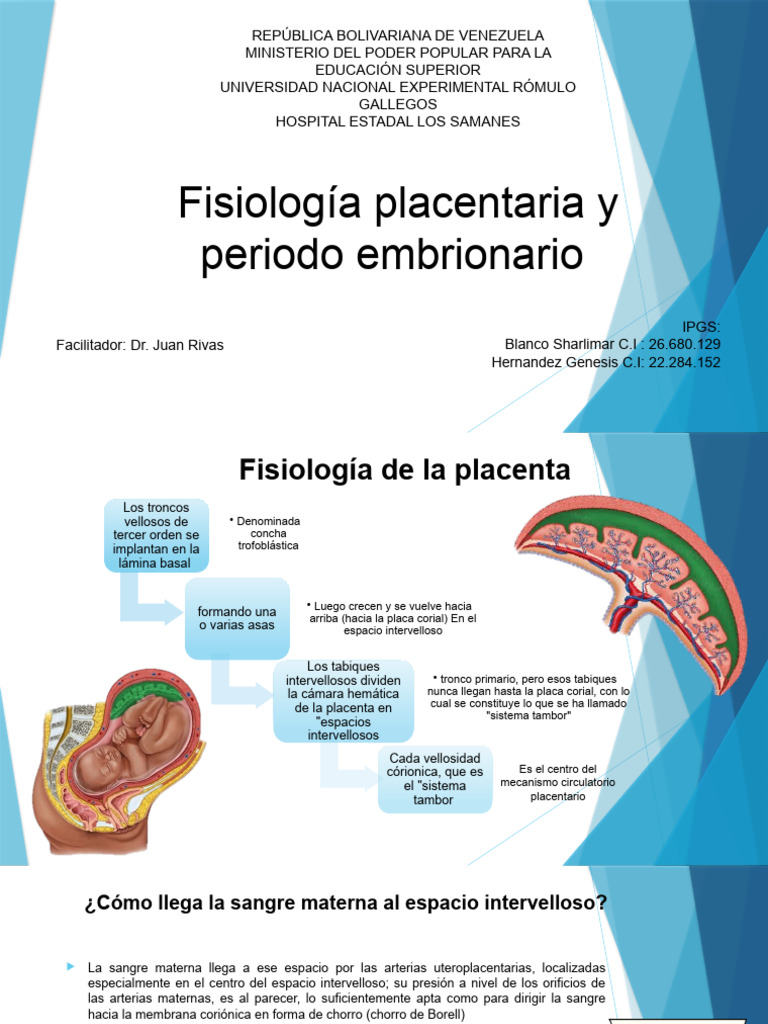 Fisiología de la Placenta y Embarazo | PDF | Placenta | Gonadotropina