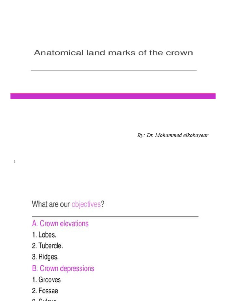 Anatomical Landmarks of Tooth | PDF