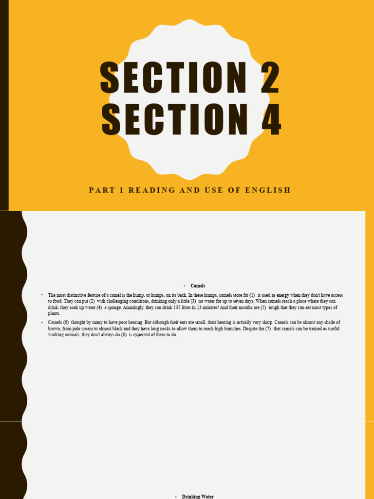 Section 2 and Section 4 | PDF | Perfume | Banana