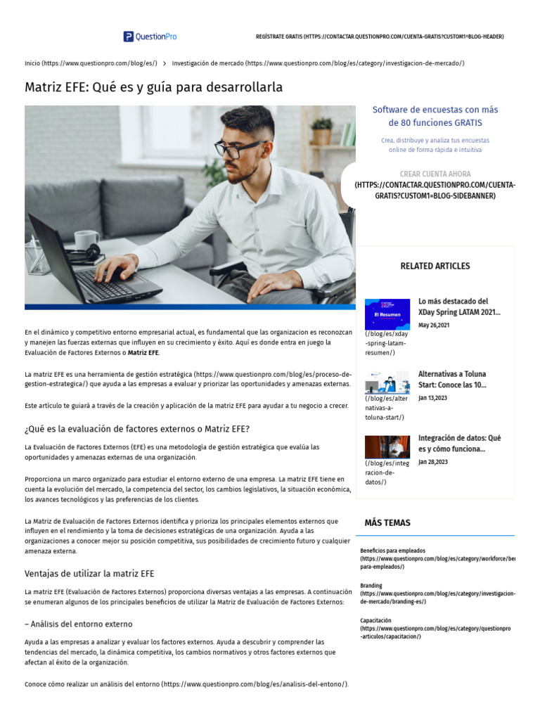 Matriz EFE - Qué Es y Guía para Desarrollarla | PDF | Gestión ...