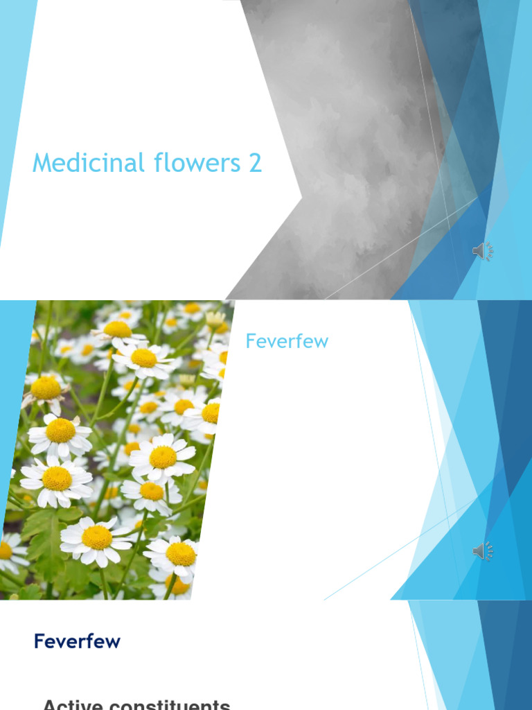 Medicinal Flowes Lecture 2 | PDF | Wellness