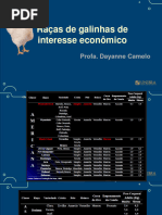 Tabela de Anilhas FOB 2025 | PDF | Aves | Ornitologia