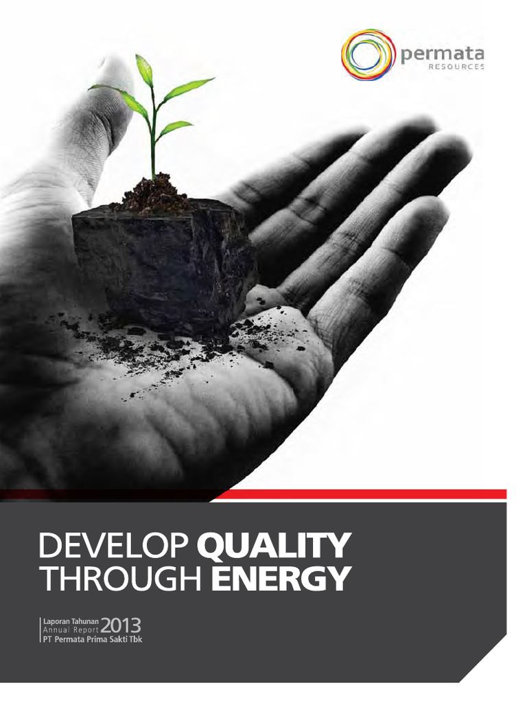 TKGA - Annual Report - 2013 | PDF | Equity (Finance) | Balance Sheet