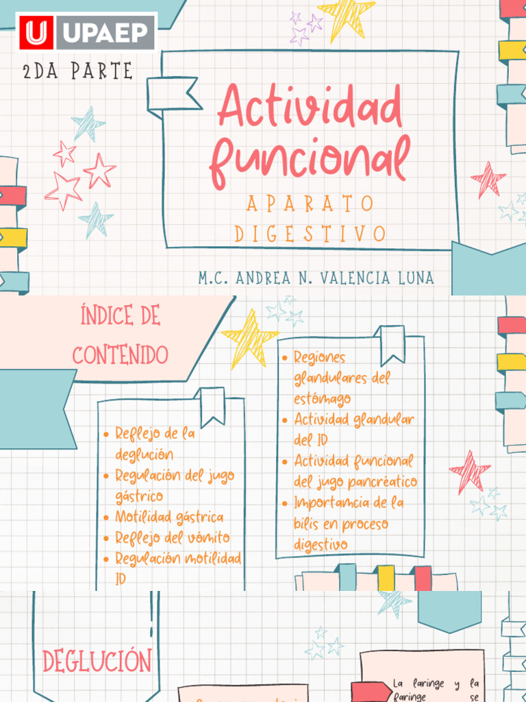 Actividad Funcional Aparato Digestivo 2DA PARTE | PDF | Estómago | Esófago