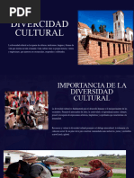 Mapa Conceptual Diversidad Cultural | PDF | Interculturalidad ...