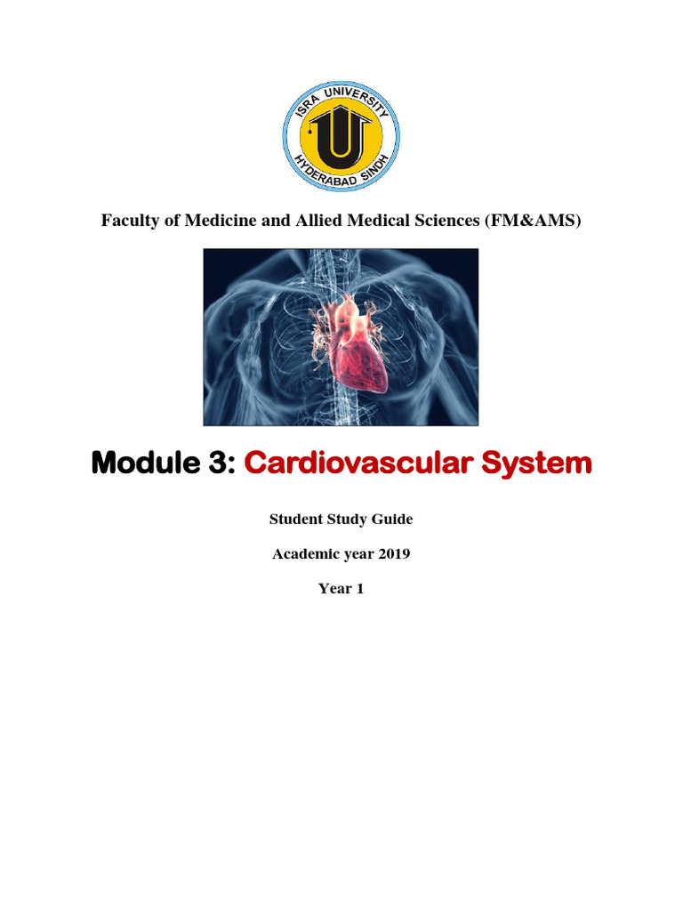 Module-3-Cardiovascular-system-SSG | PDF | Heart | Aorta