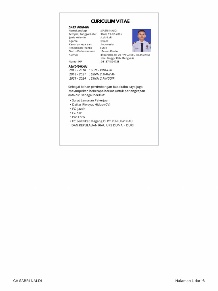 CV Sabri Naldi 2 | PDF
