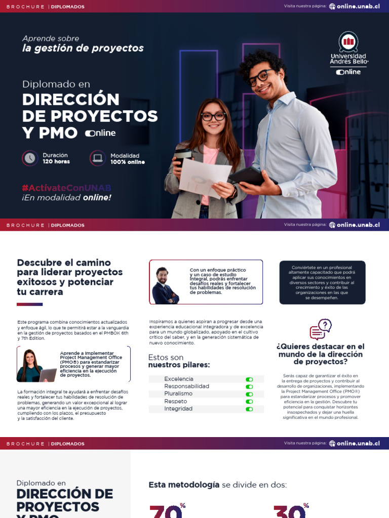 Brochure PMO Desk | PDF