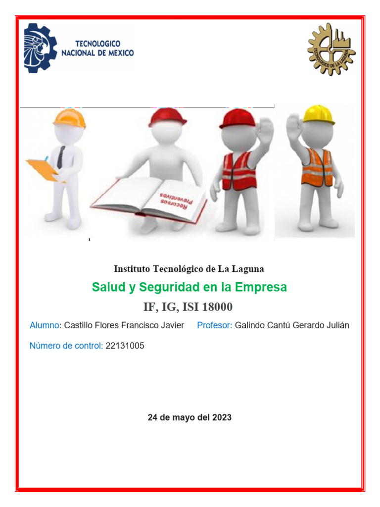 If, Ig, Iso18000-Castillo Flores | PDF | Negocios