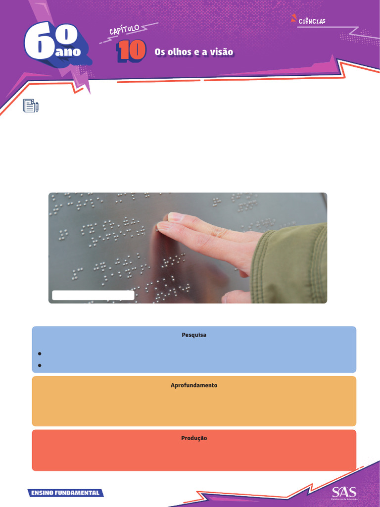 Acessibilidade para Deficientes Visuais | PDF | Deficiência visual ...