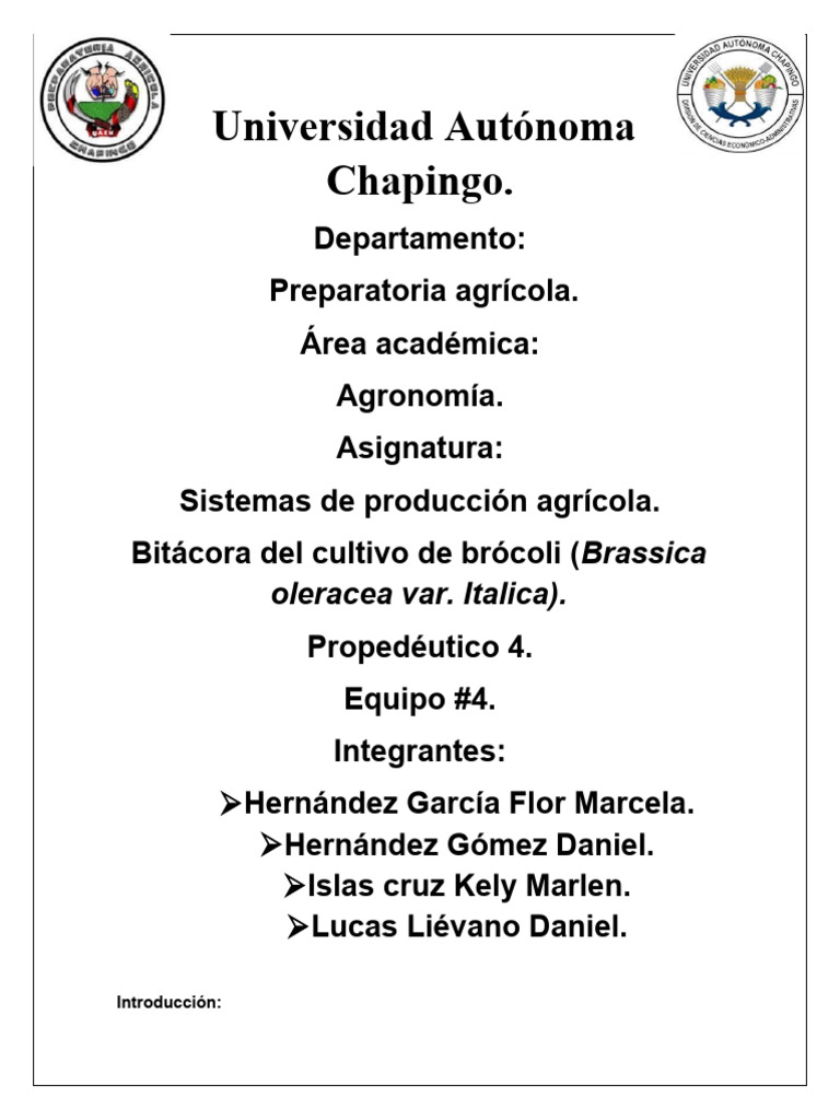 Bitacora Spa | PDF | Brócoli | Nutrición