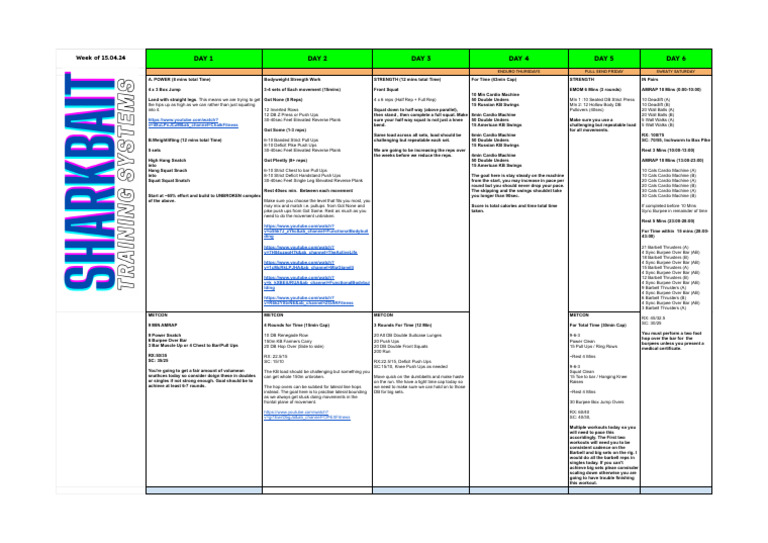 Fortitude Program - Copy of 06 - 04 - 24 | PDF | Physical Exercise ...