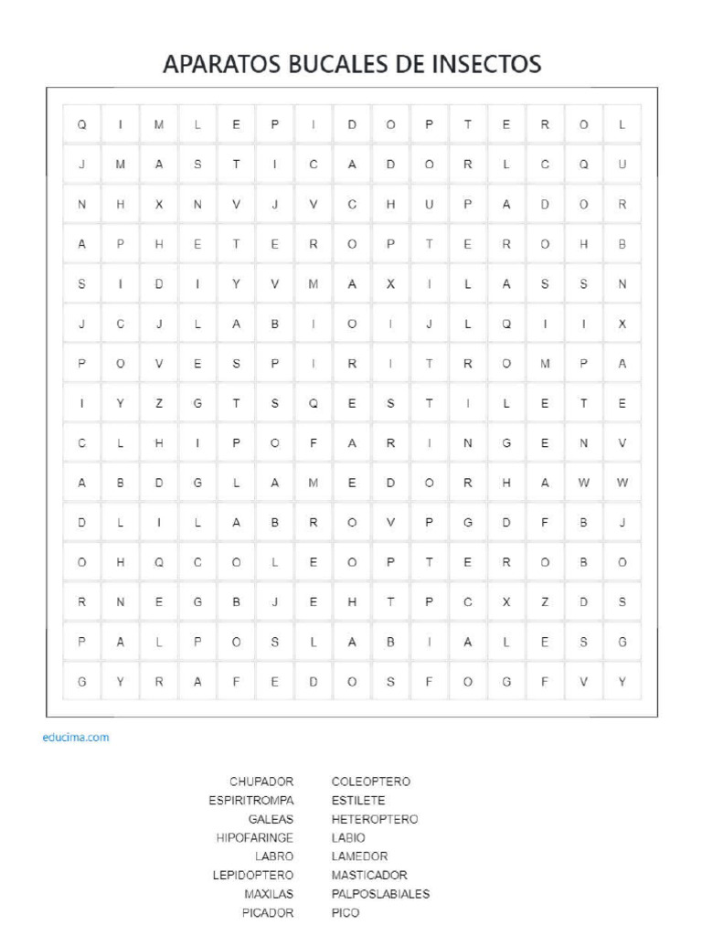 Sopa de Letras .Word | PDF