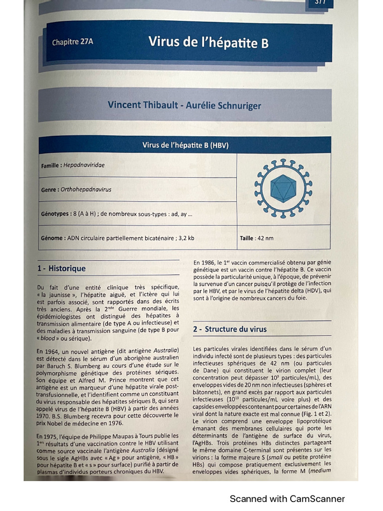 27-Hépatite B (1) | PDF
