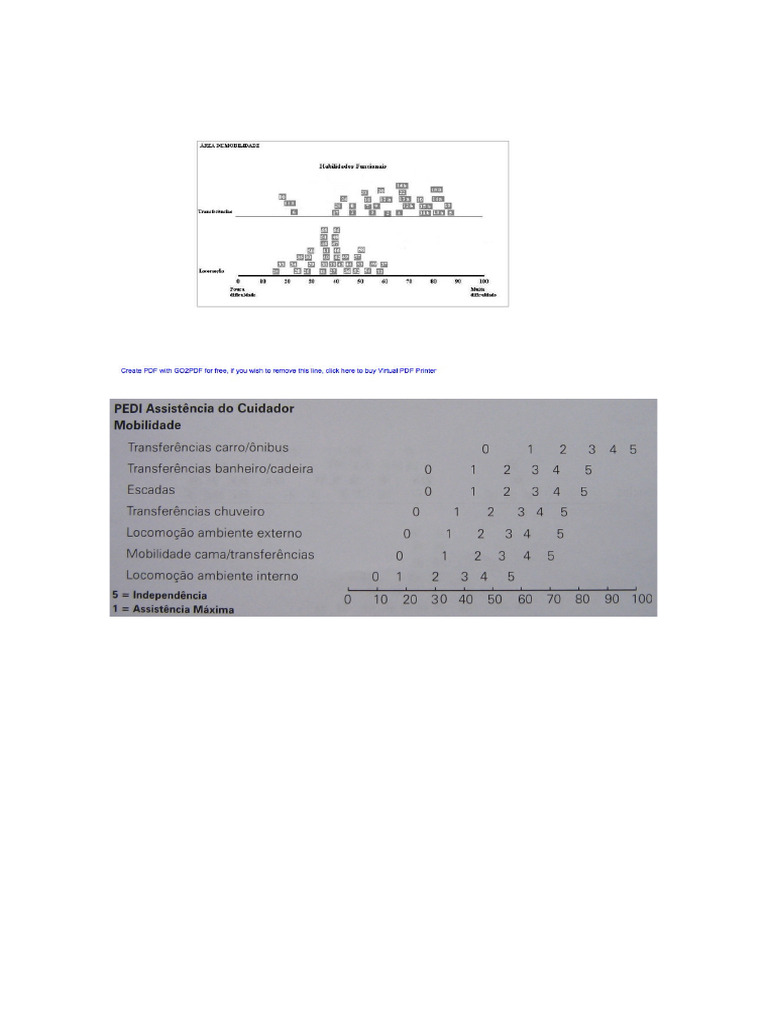 PEDI - Mapas de Itens | PDF